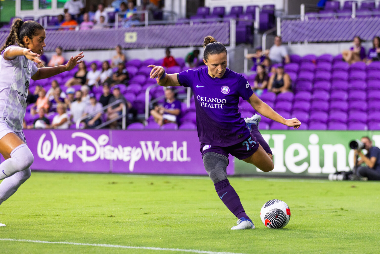 Lion Links: 7/31/25 – The Mane Land